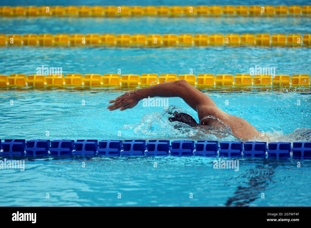 Young male swimming laps in a swimming pool Stock Photo - Alamy