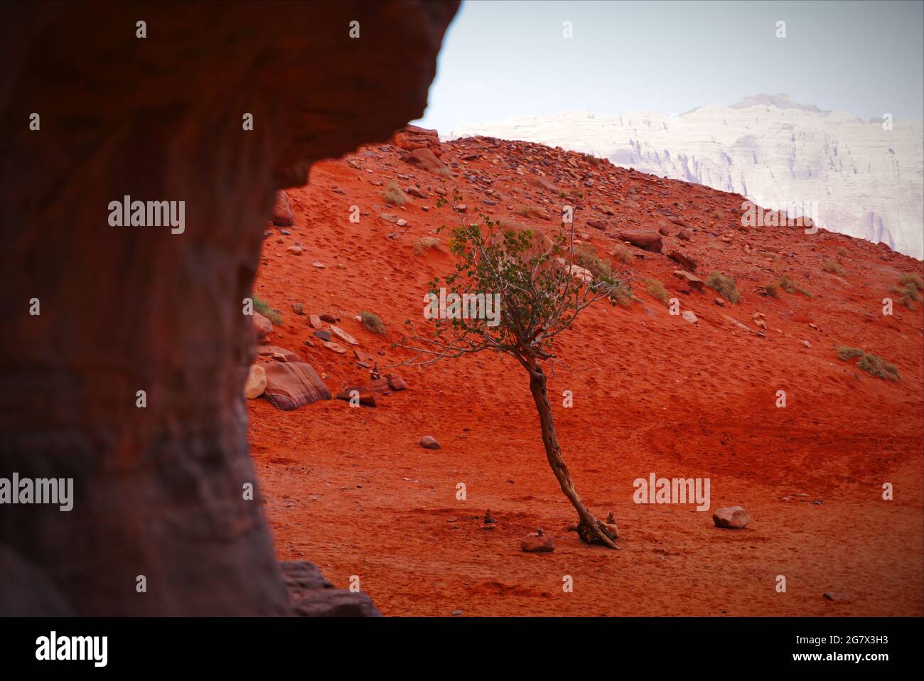Wadi rum - “The Valley of the Moon”, depicted as Mars in several ...
