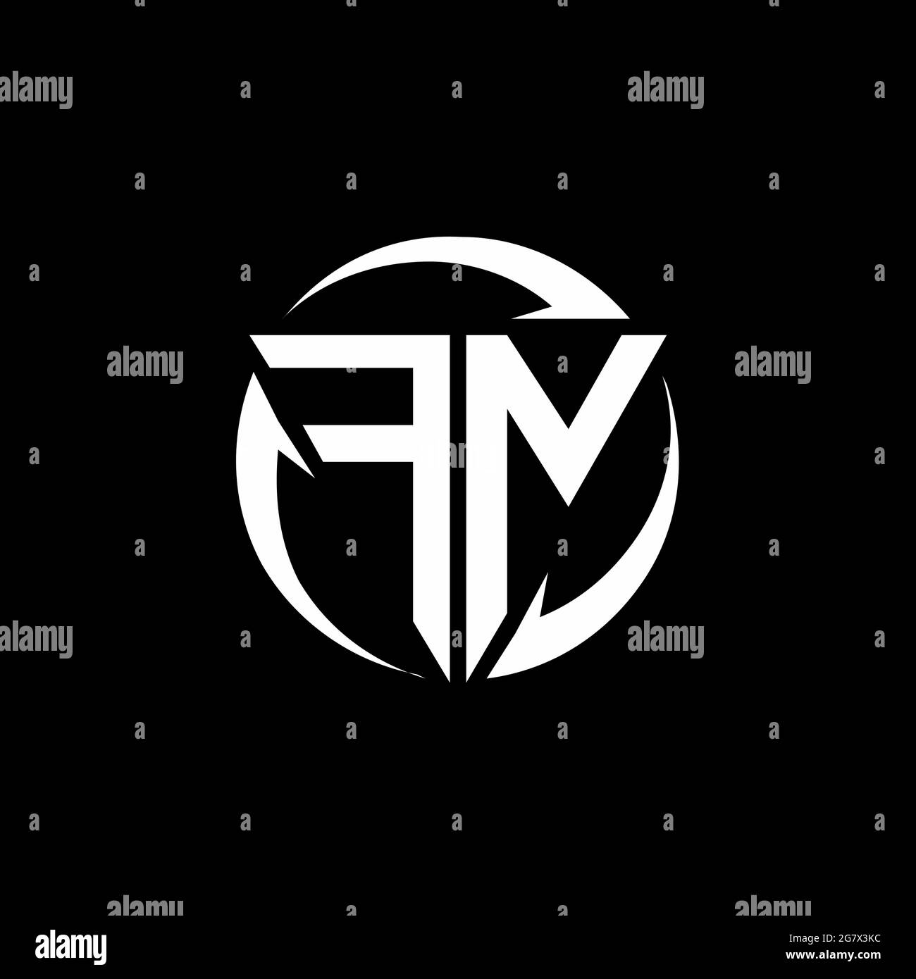 FN logo with triangle shape and circle rounded design template isolated ...
