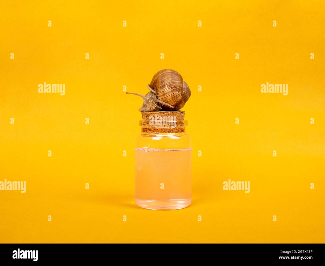 cosmetic bottle and snail on yellow background Stock Photo - Alamy
