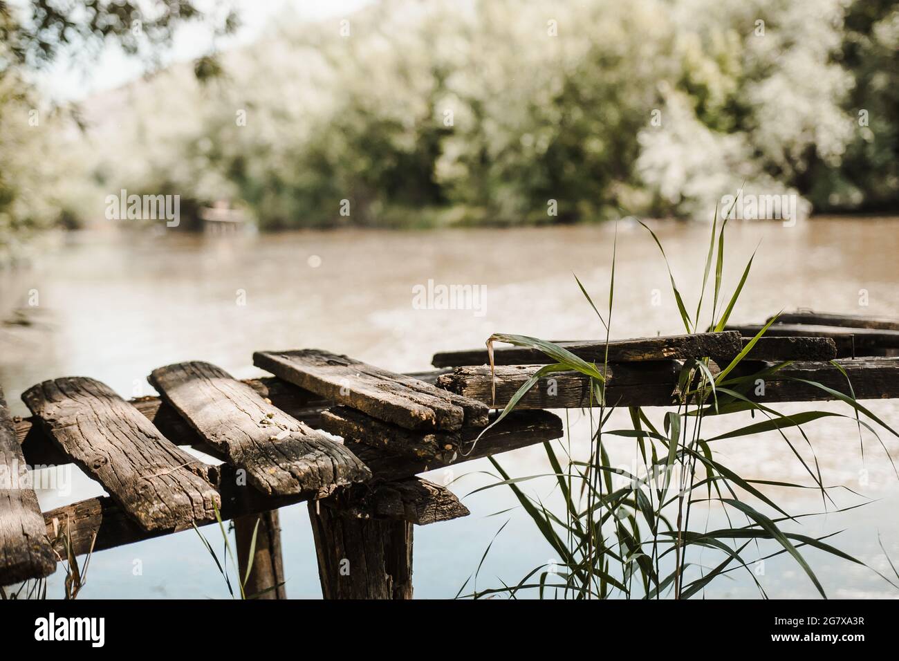Old Damaged Wooden Bridge Over River Leading Towards Forest Stock Photo ...