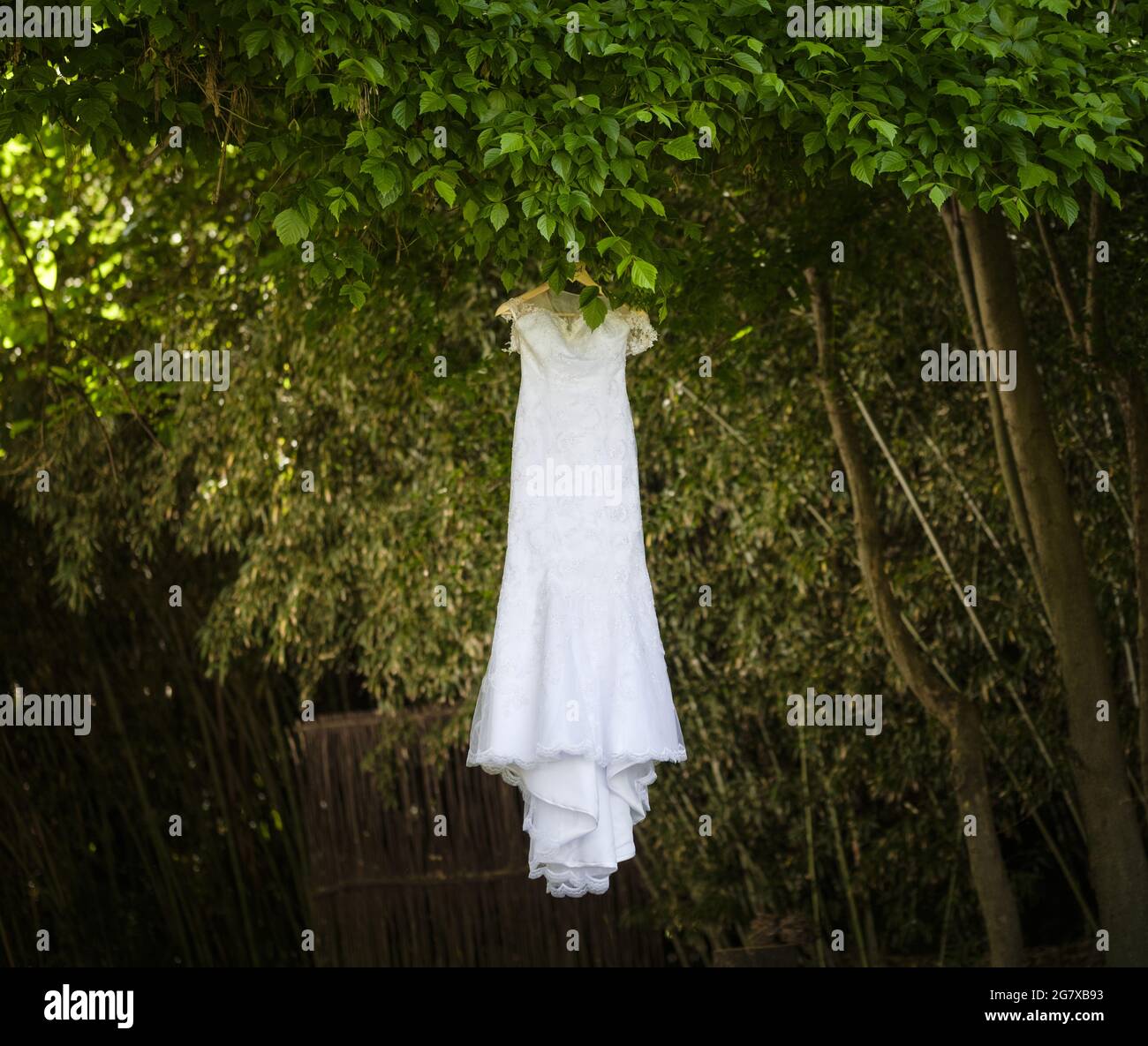 Dress hanging from tree hi-res stock photography and images - Alamy