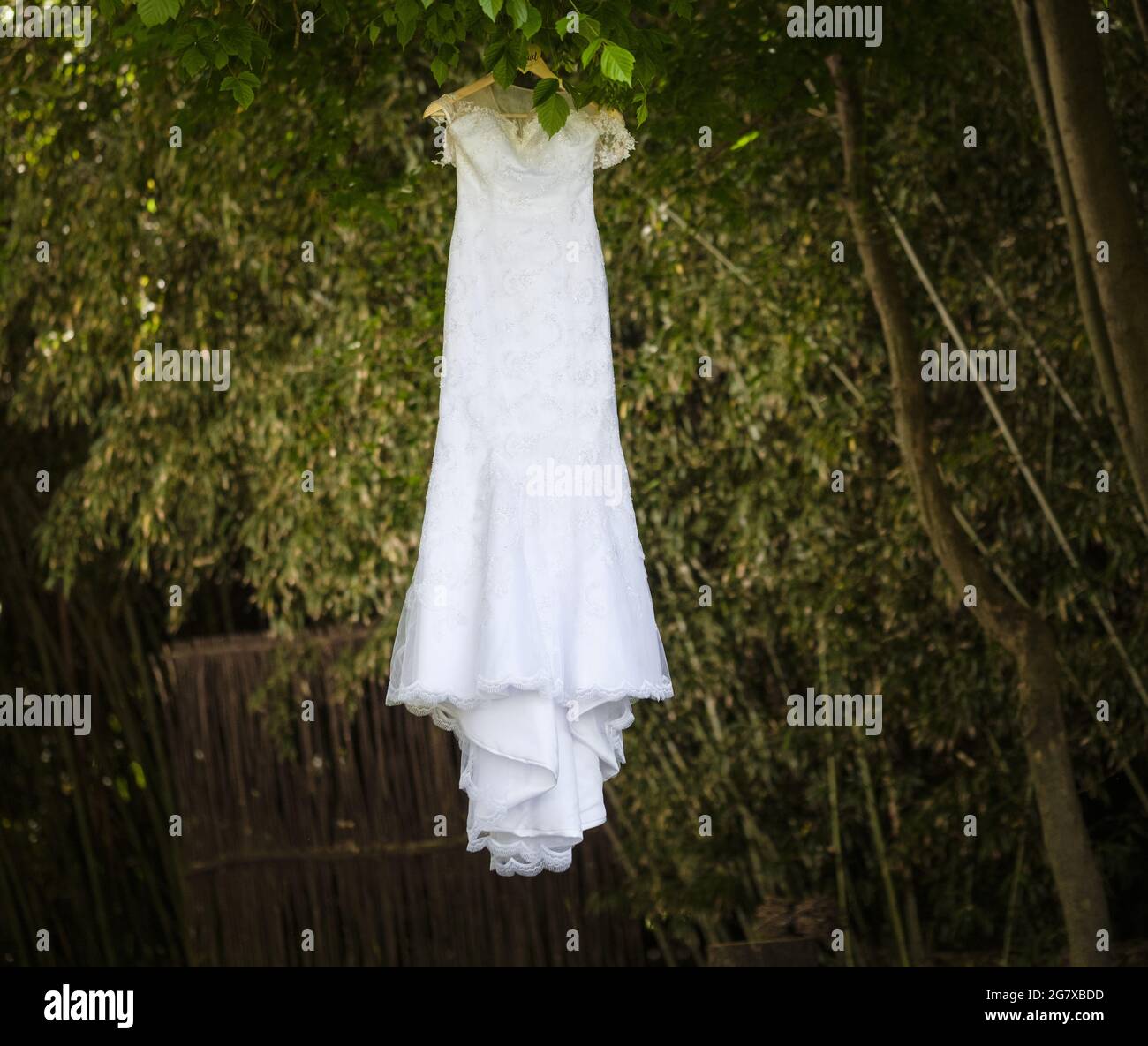 Dress hanging from tree hi-res stock photography and images - Alamy