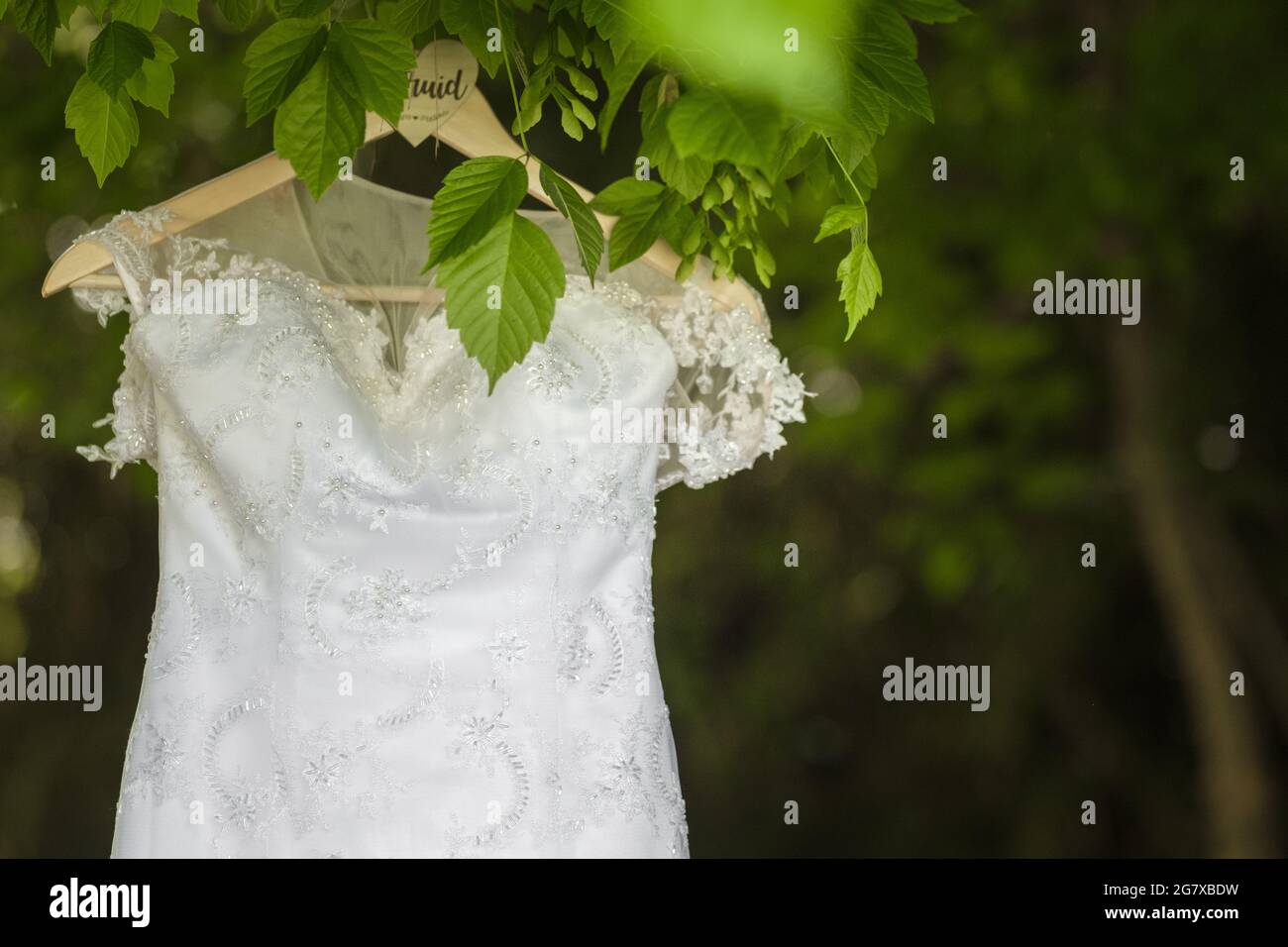 Dress hanging from tree hi-res stock photography and images - Alamy