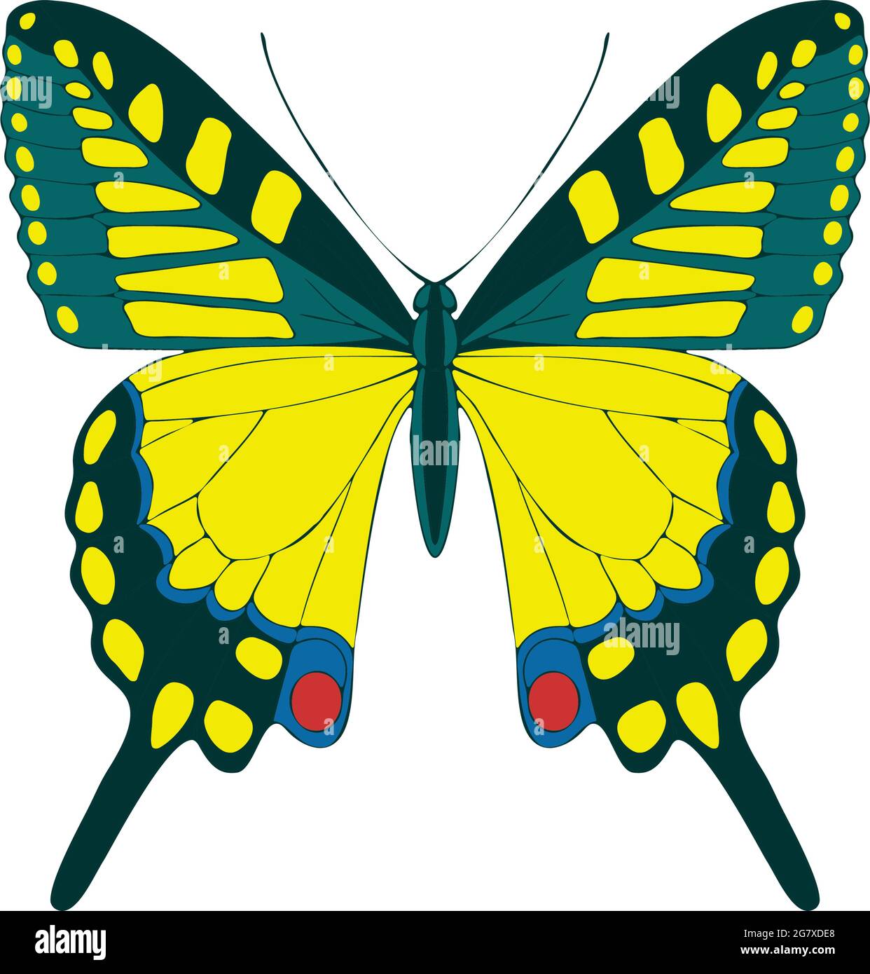 Swallowtail butterfly. Vector illustration color icon Stock Vector ...