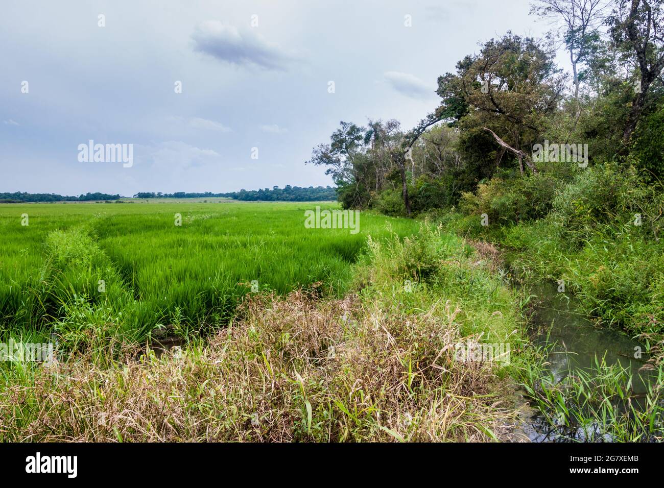 Coronel bogado hi-res stock photography and images - Alamy