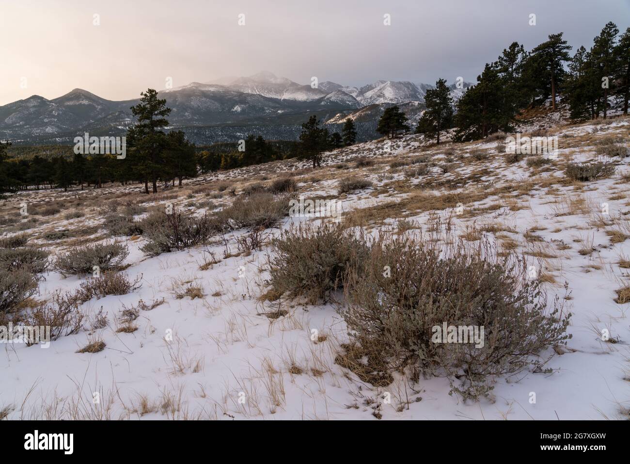 A view of Longs Peak from Upper Beaver Meadows, on Trail Ridge Road ...