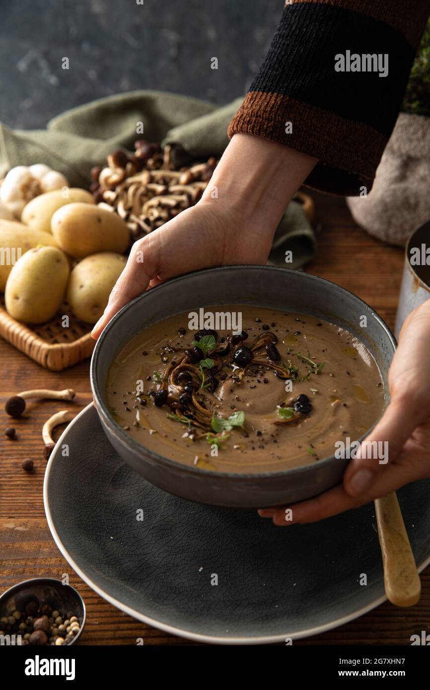 Mushroom soup with human presence Stock Photo - Alamy