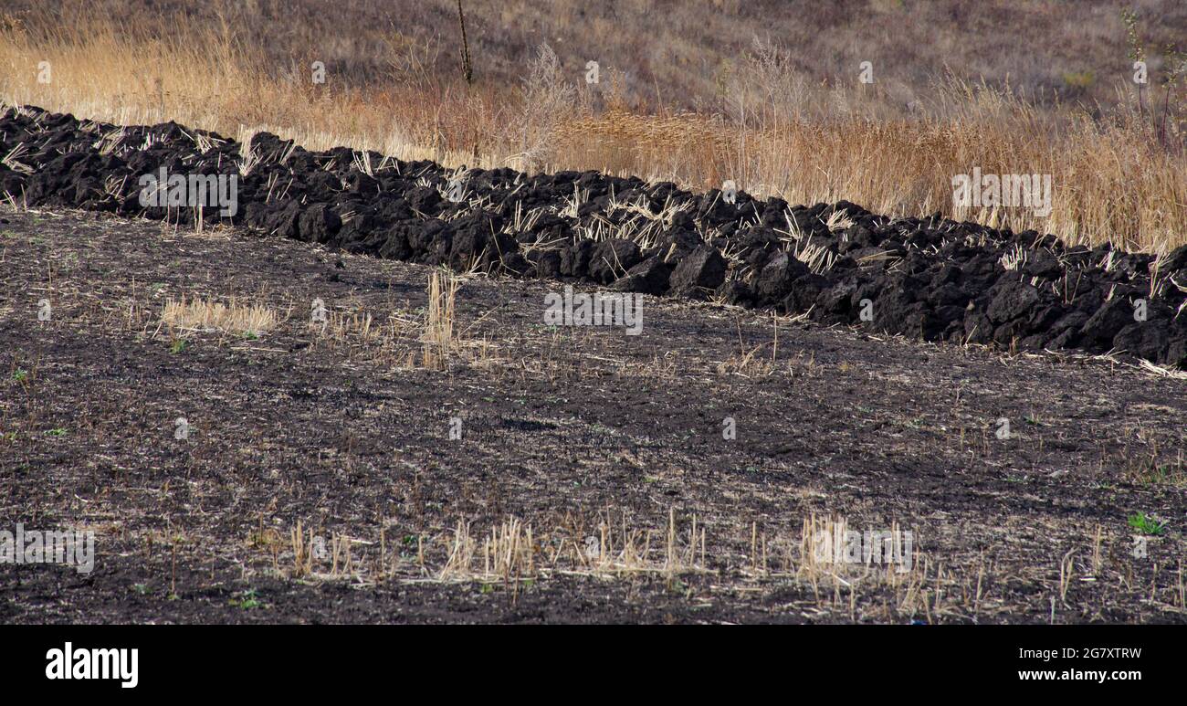 The edge of the first field with stubble mounds. A strip of boulders ...