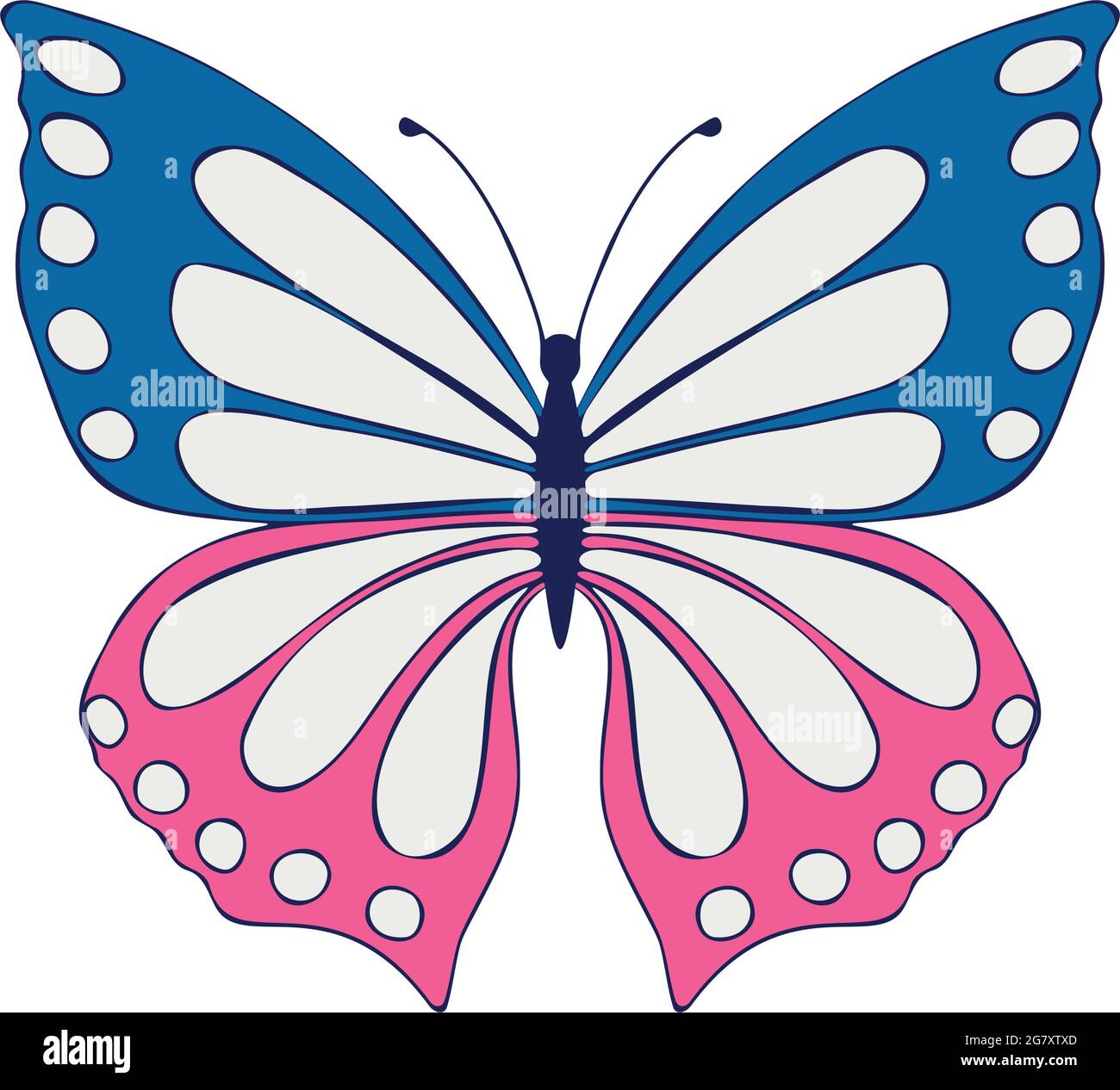Colored Butterfly , vector illustration, icon. Butterfly with open ...
