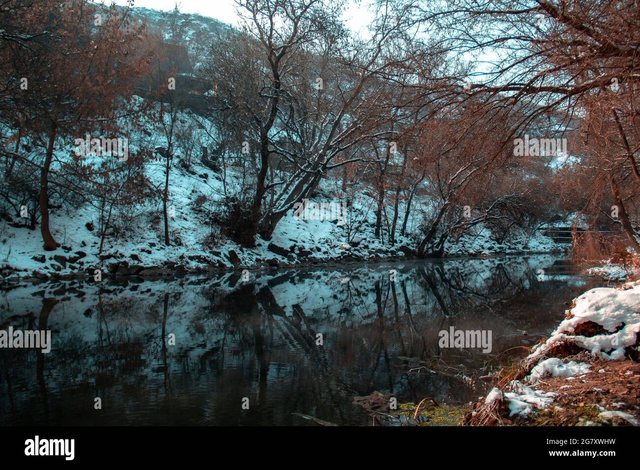Scenic winter forest with a crystal clear river Stock Photo - Alamy