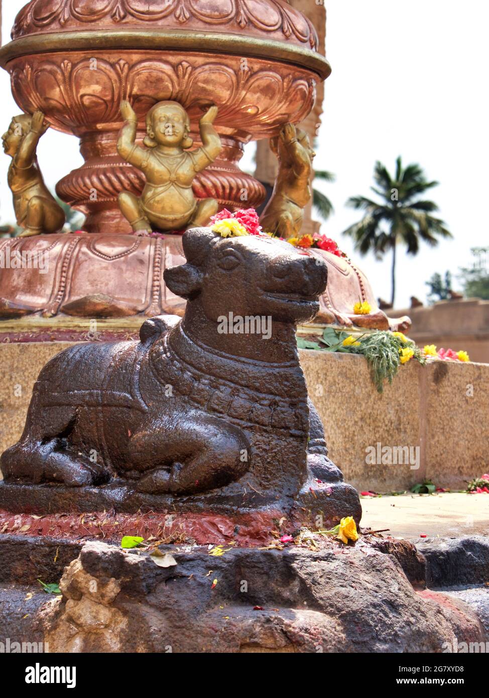 Smiling holy cow statue, Darasuram temple, Tamil Nadu, southern India ...