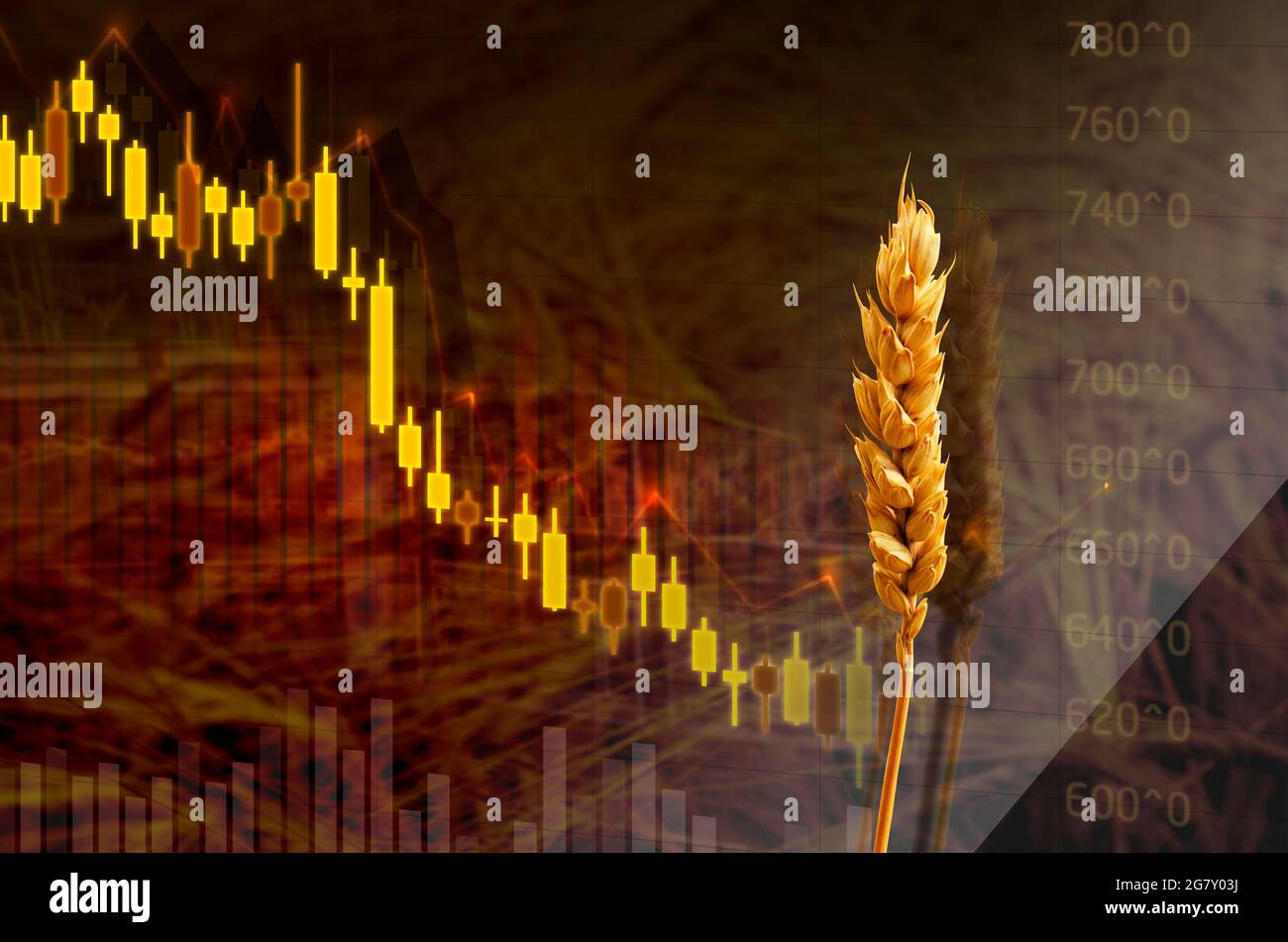 Price level decrease of agricultural grains shown by chart, graph and ...