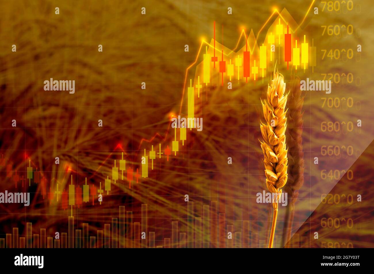 Price level increase of agricultural grains shown by chart, graph and ...