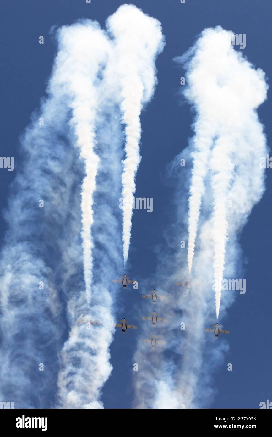 The Royal Canadian Air Force (RCAF) Snowbirds 431 Air Demonstration ...
