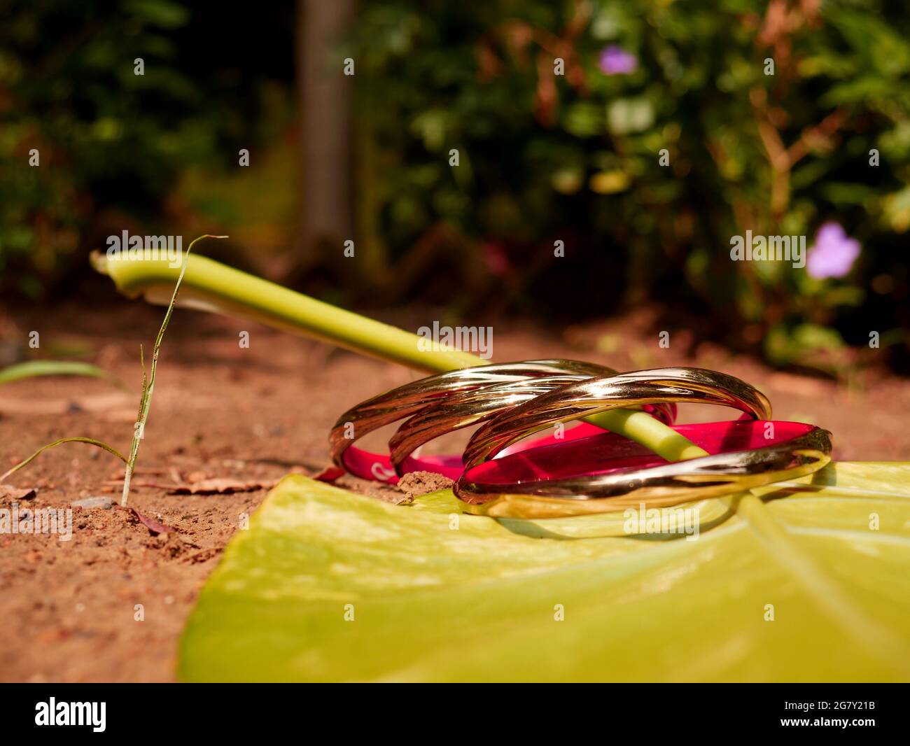 Red color bangle set with golden shade presented with leaf at blur ...