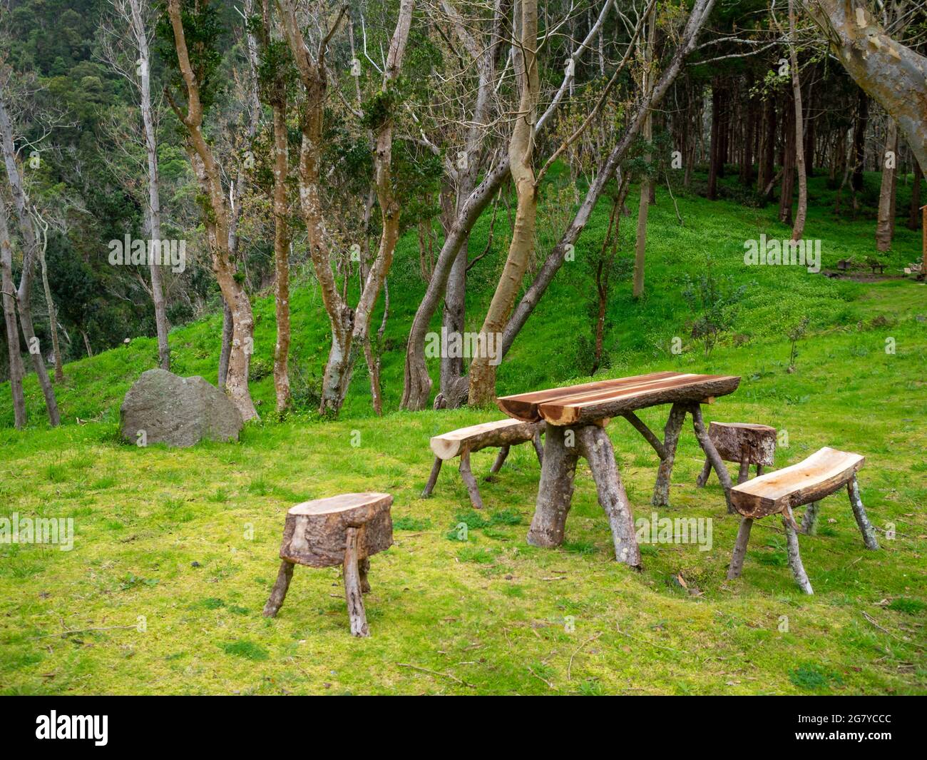 Wooden benches and table in a forest Stock Photo - Alamy