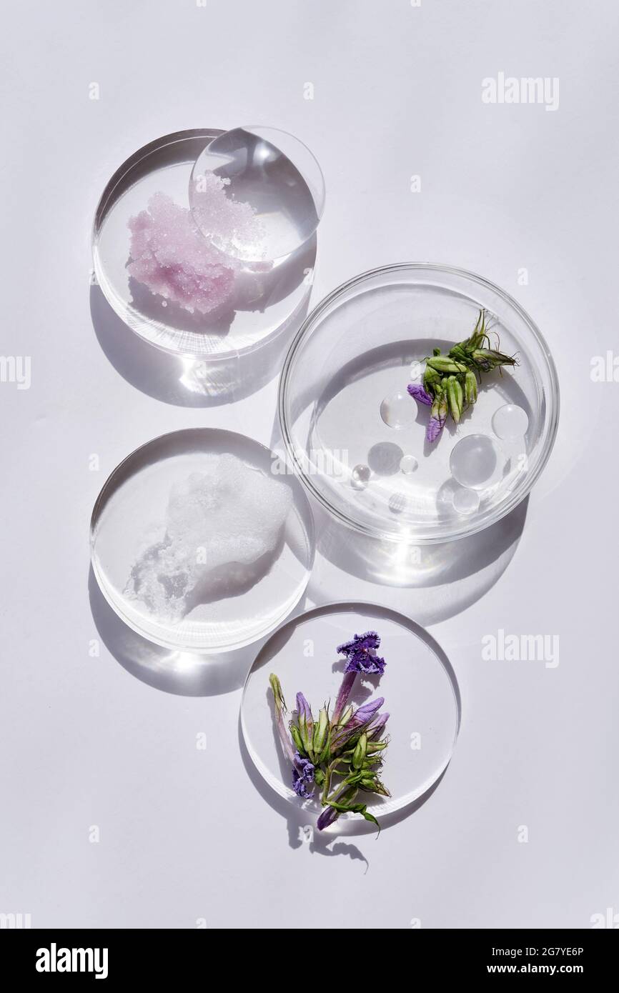 Abstract cosmetic laboratory. Chemical laboratory research. Organic ...