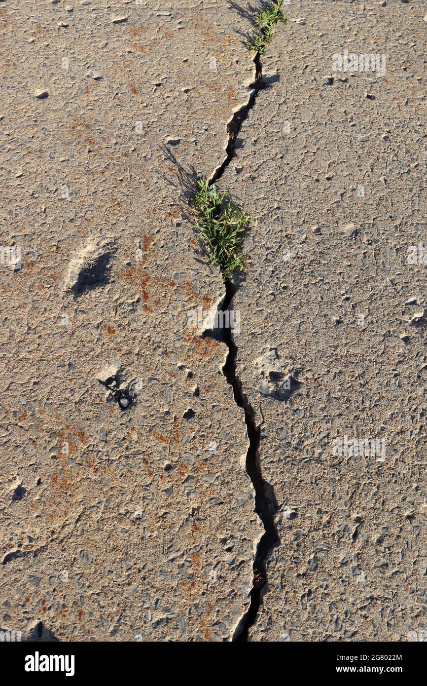 Abstract photography of a dry ground. Drought, climate and pollution ...