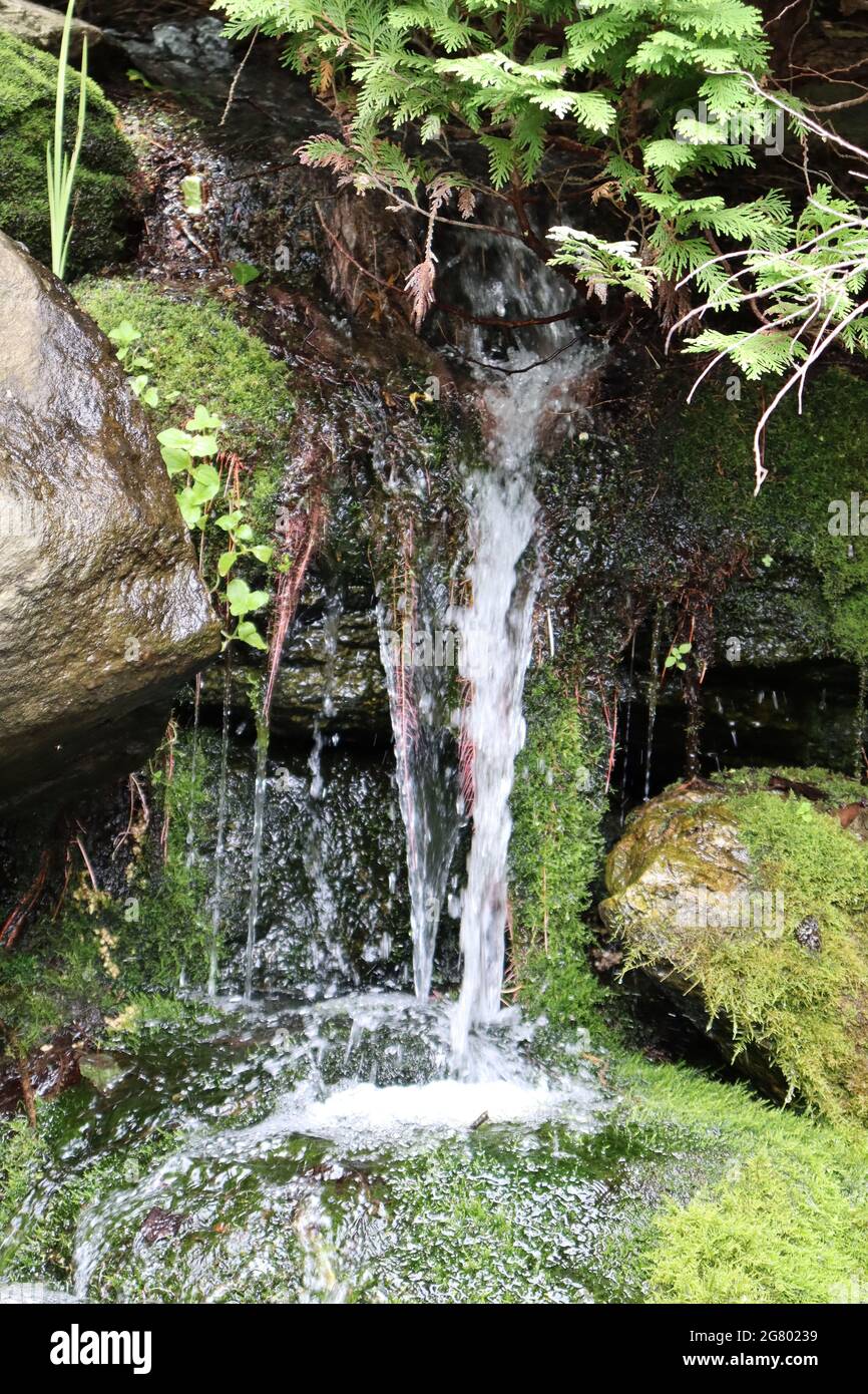 Waterfall in a garden with vegetation. Zen and peace image. nature and ...