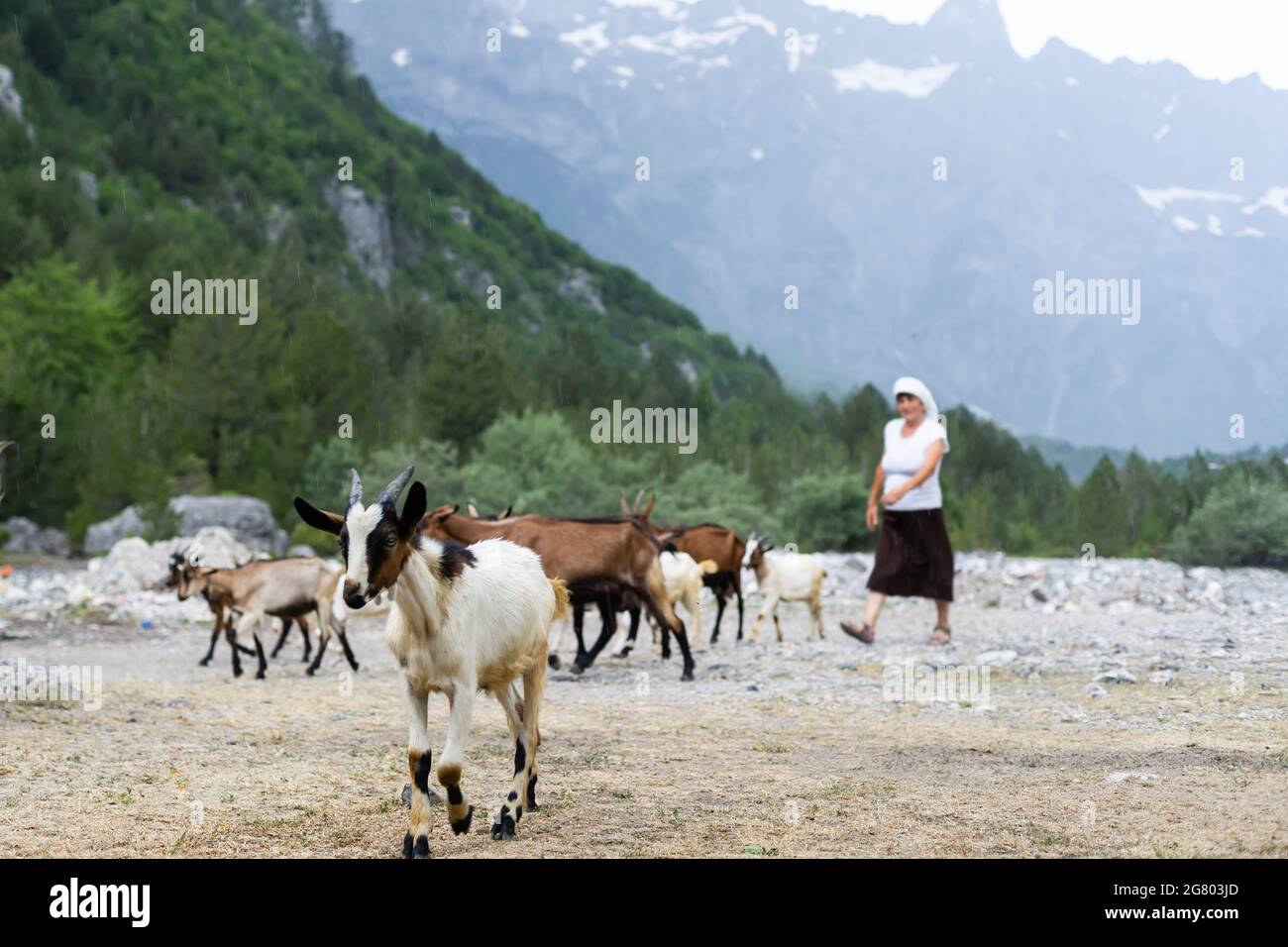 Establishing shot of the beautiful alpine mountains of Albania with ...