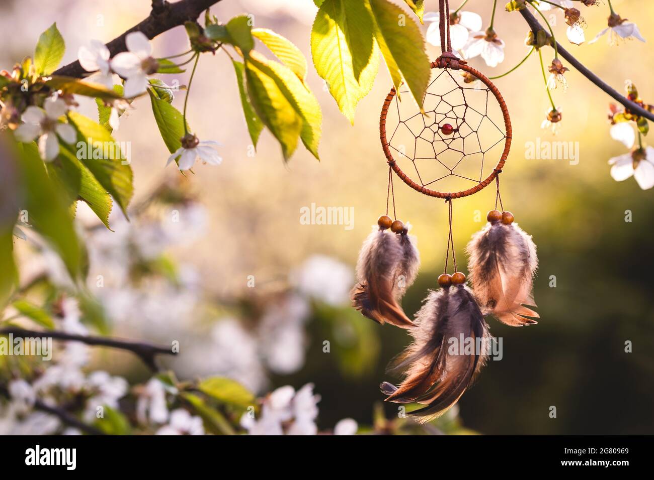 Indigenous symbol hi-res stock photography and images - Alamy