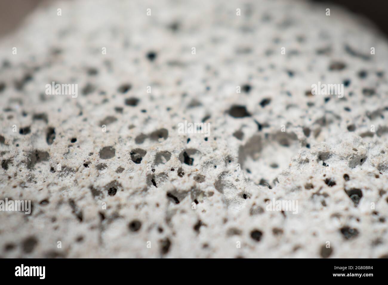 Close up of many little holes on a white dry rock surface Stock Photo ...