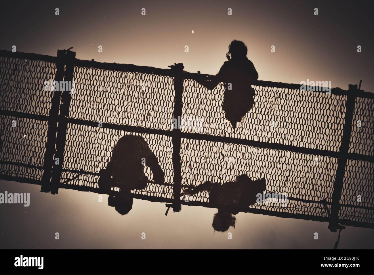 reflection silhouettes of people in the river Stock Photo - Alamy