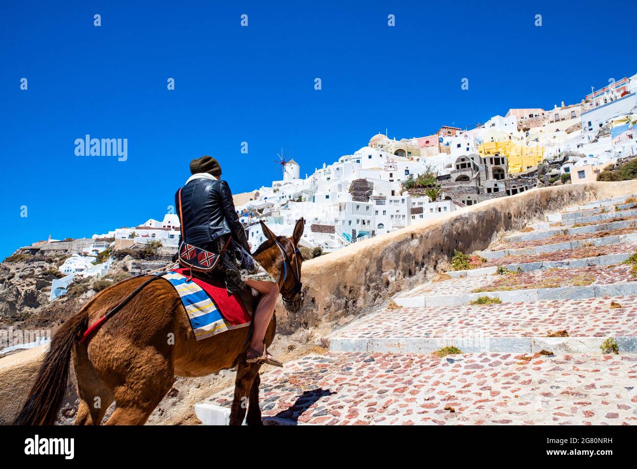 Donkey ride in Santorini's island Stock Photo - Alamy