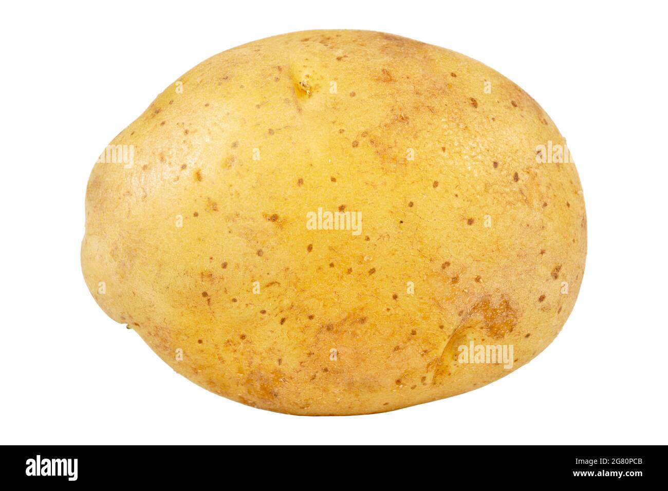Fresh organic yellow raw potato vegetable, carbohydrate and starch ...