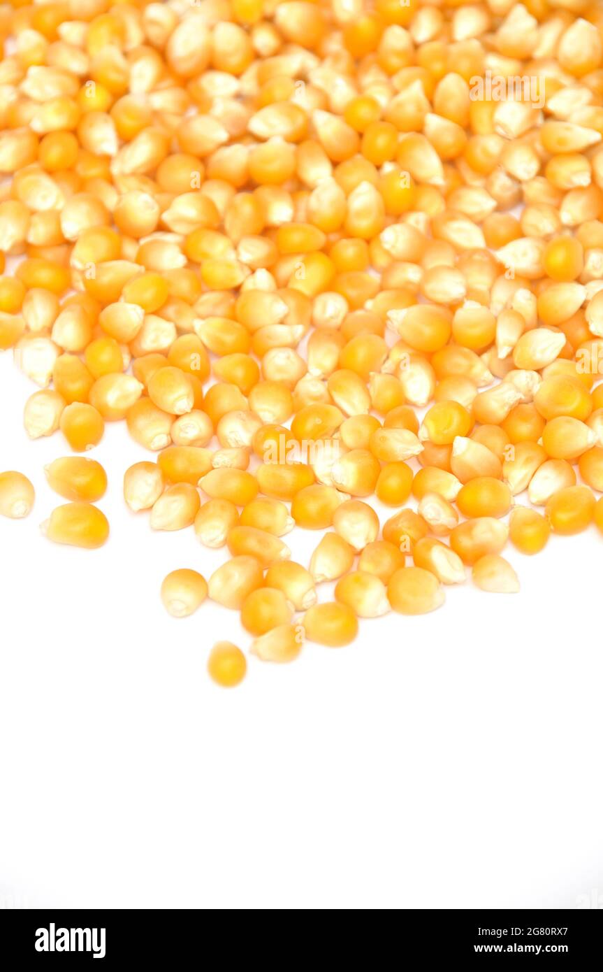 Background of yellow maize corn kernels ready for making pop corn Stock ...