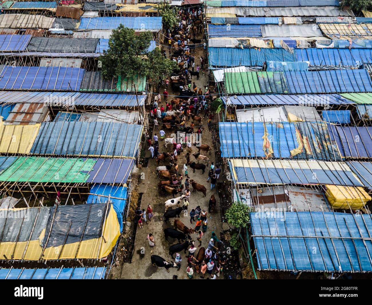 Hundreds of people from far and wide flocked to the historic Gabtali ...