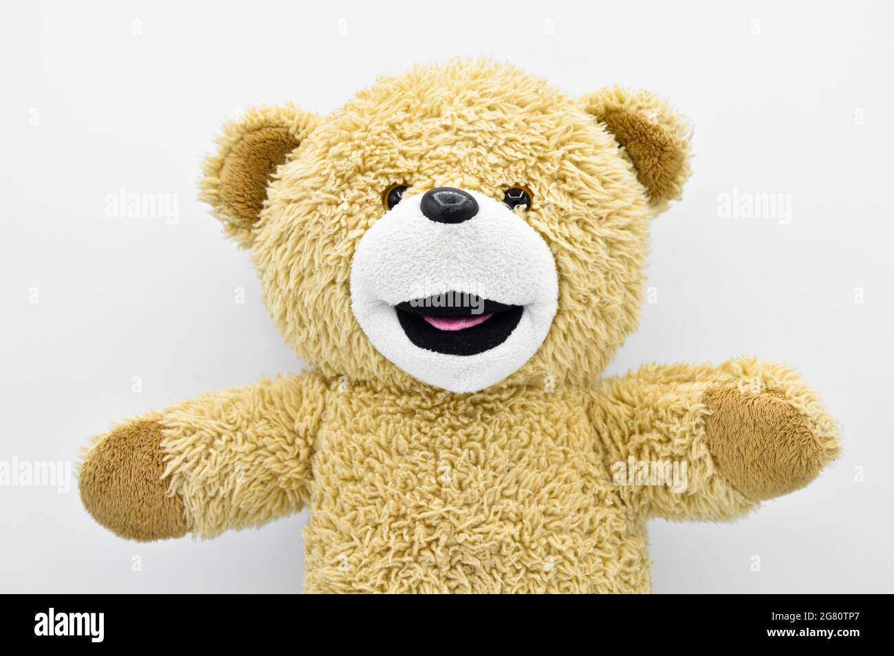 Beige toy plush teddy bear isolated on white background Stock Photo - Alamy