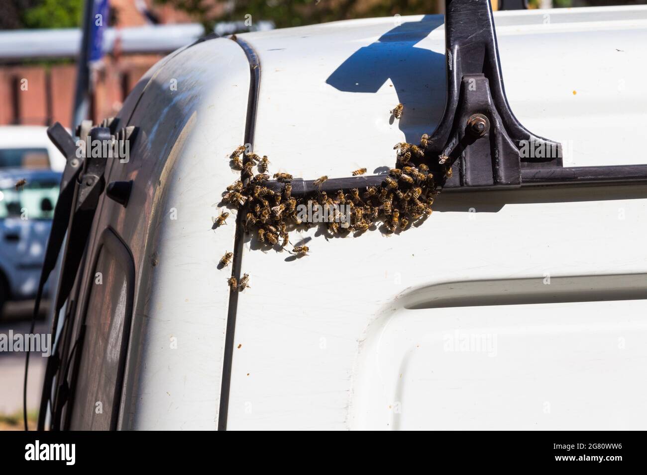 Bee car hi-res stock photography and images - Alamy