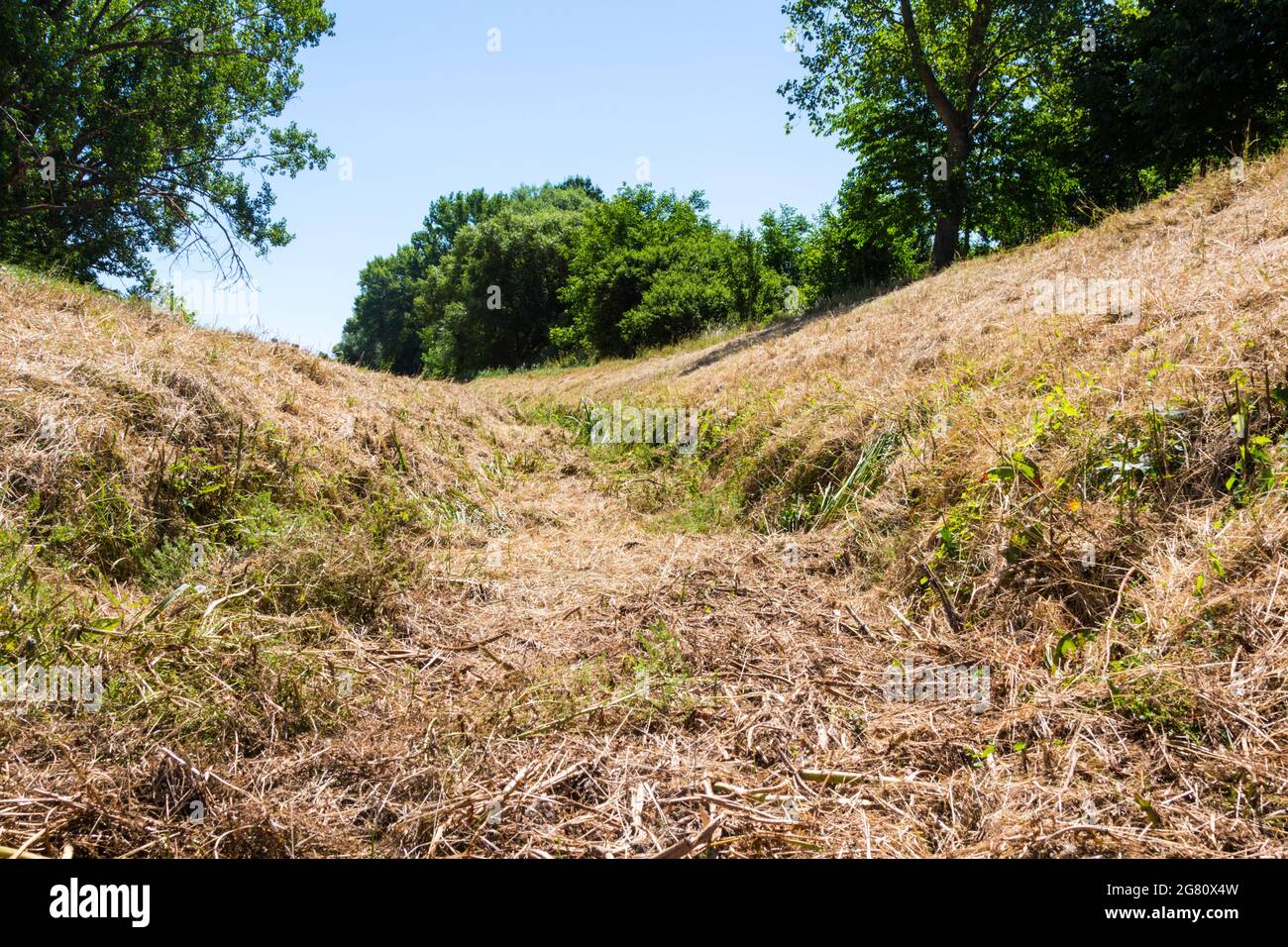 Dried brook bed hi-res stock photography and images - Alamy