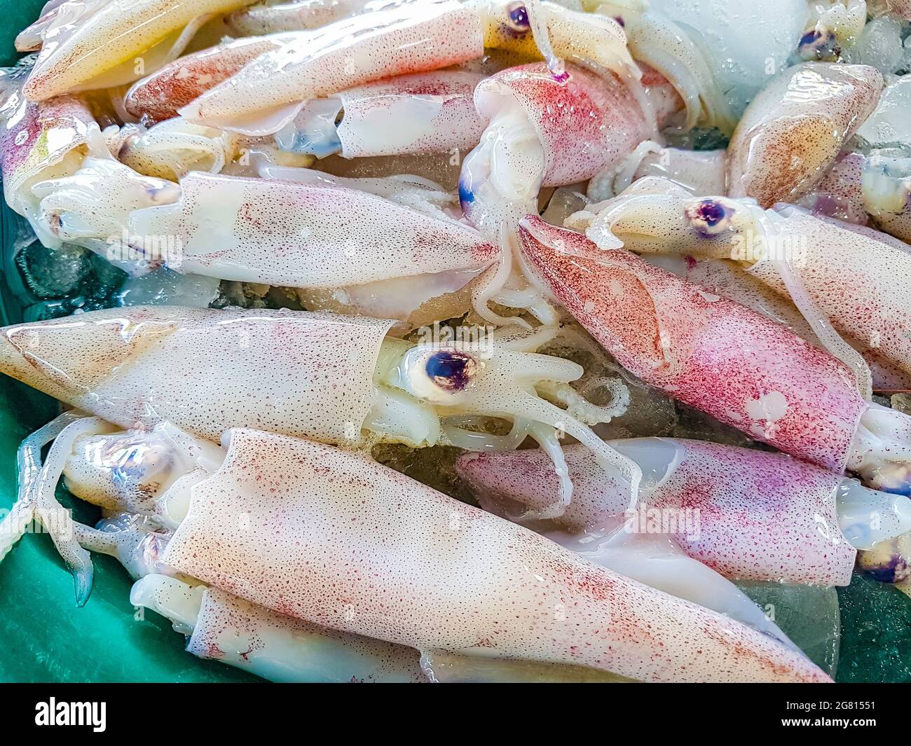Squid octopuses and other disgusting seafood Thai food cuisine at ...