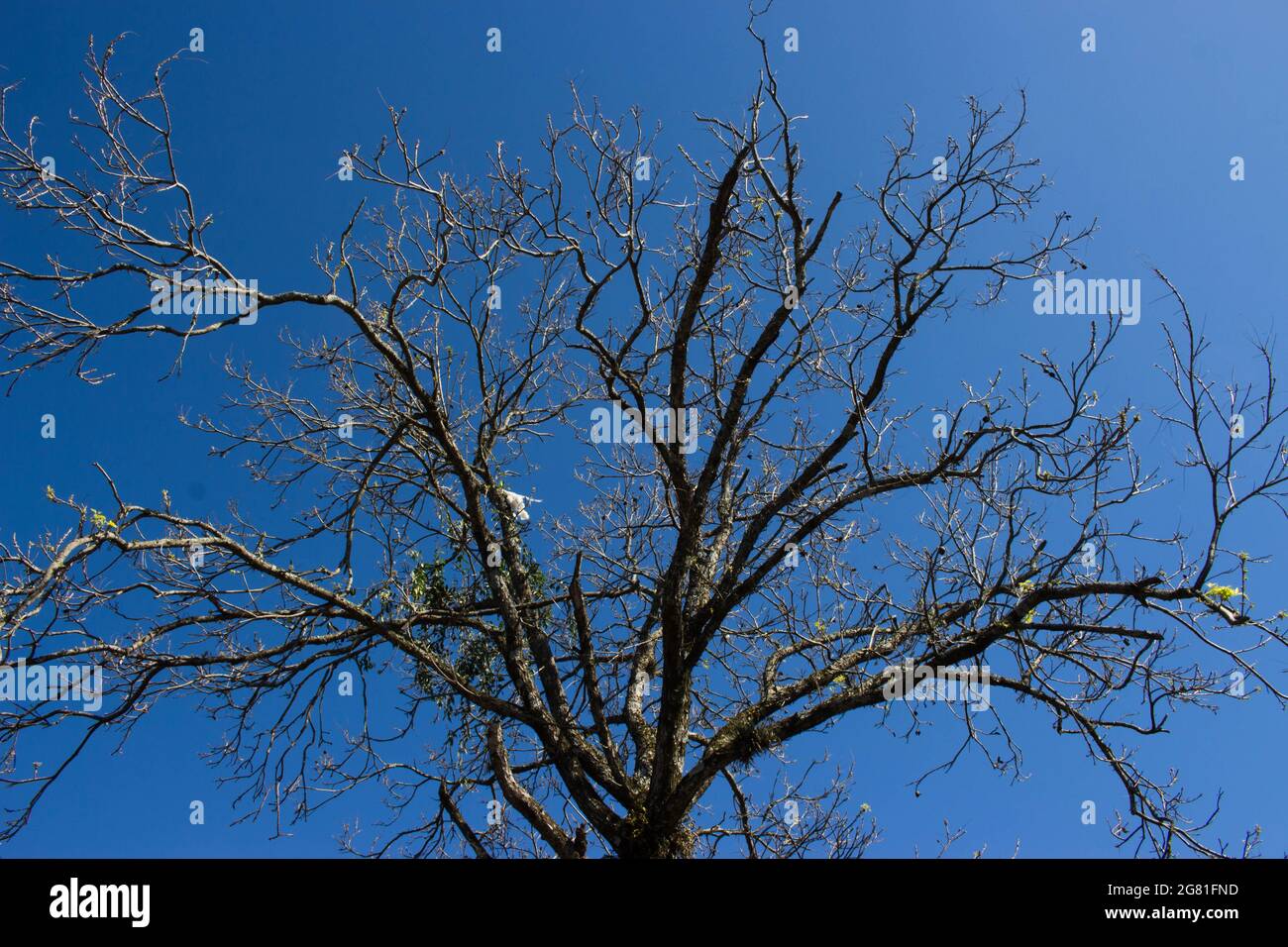 street photograph, campo bom, rs, brazil Stock Photo - Alamy