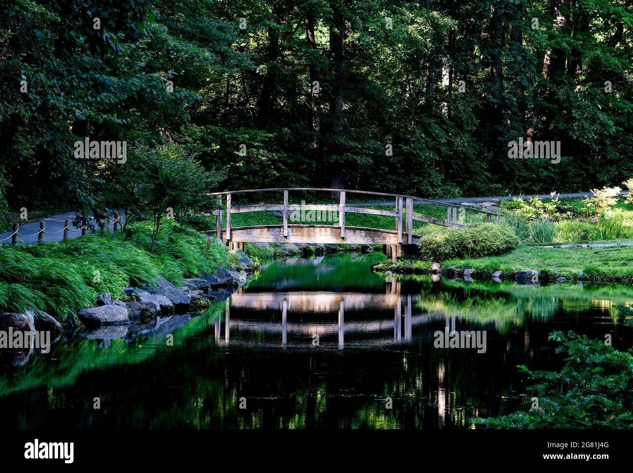 Wooden foot bridge over a garden pond Stock Photo - Alamy