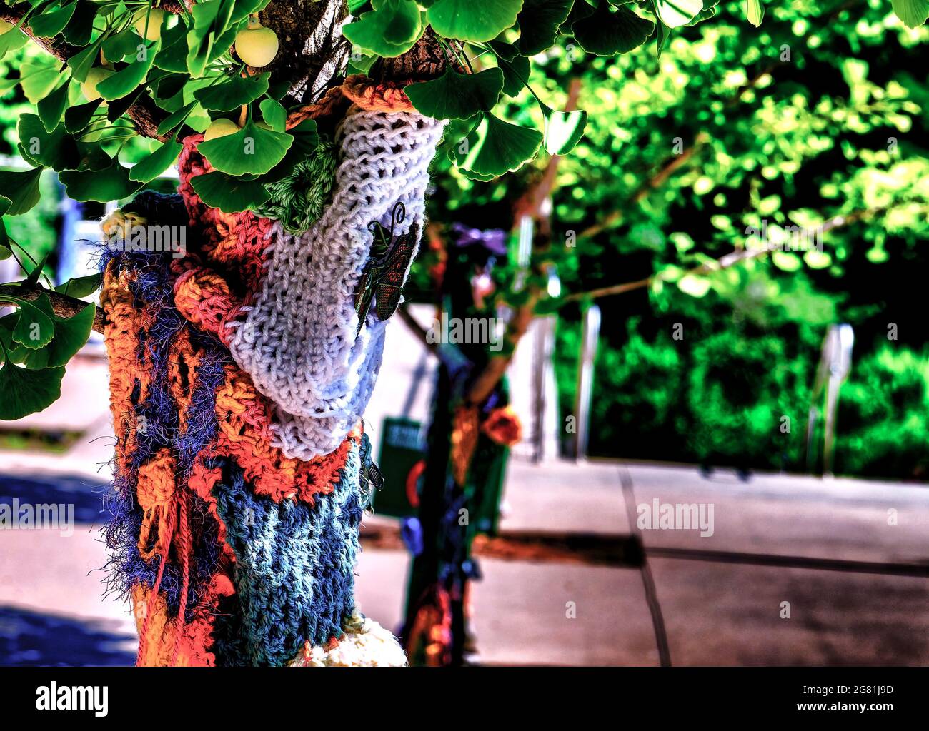 Knitted decorations adorn a park tree Stock Photo - Alamy