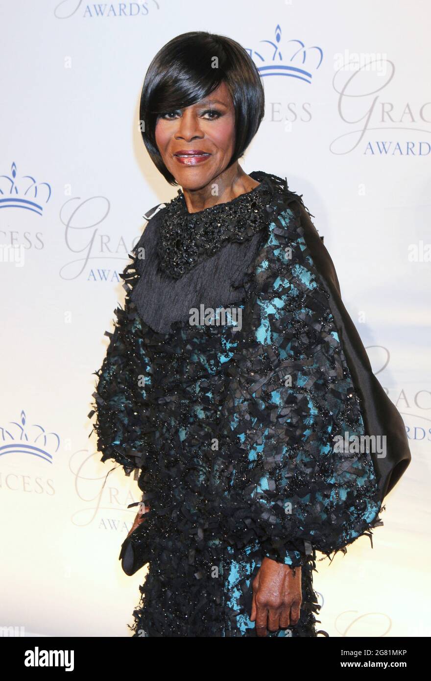 Cicely Tyson attends the 2013 Princess Grace Awards Gala at Cipriani ...