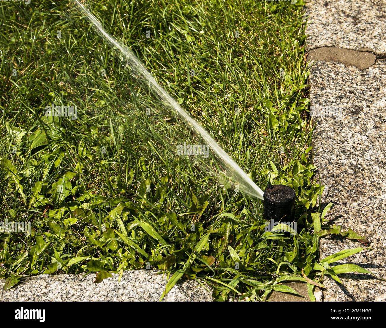 A jet of water from the hose of automatic lawn sprinkler watering green ...