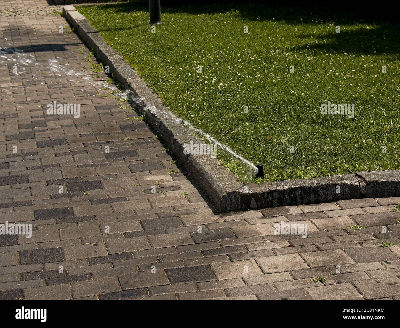 A jet of water from the hose of automatic lawn sprinkler watering green ...