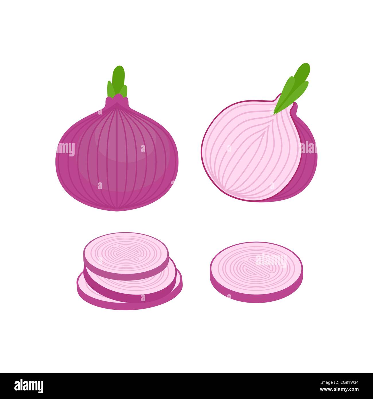 Onion Bulb and slice set. Vegetable vector illustration Stock Vector ...
