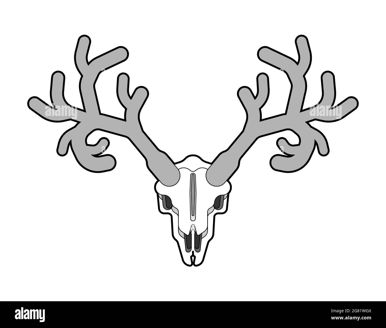 Deer skull isolated. Moose skeleton head. vector illustration Stock ...