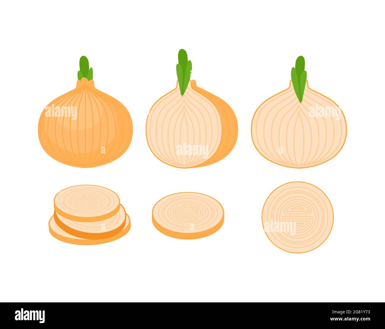 Chopped Onions Clip Art