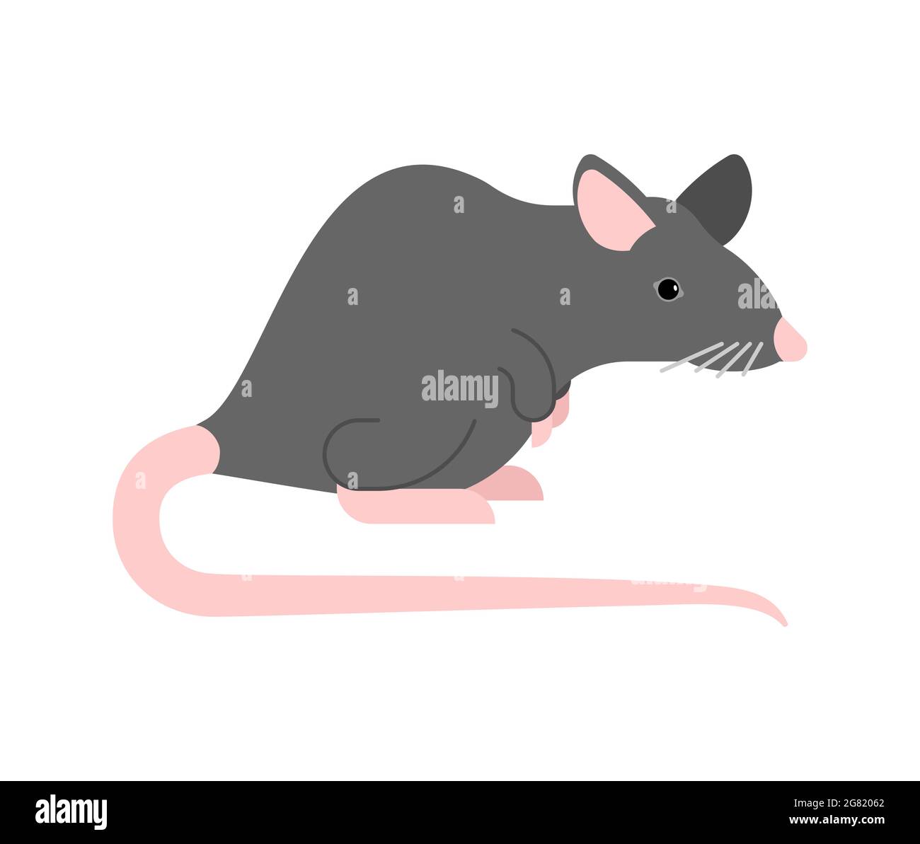 Gray mouse isolated. Grey mice vector illustration Stock Vector Image ...