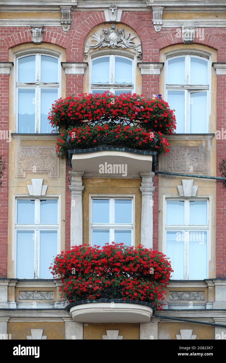 Balconies full of red flowers that are beautifully smelling Stock Photo ...