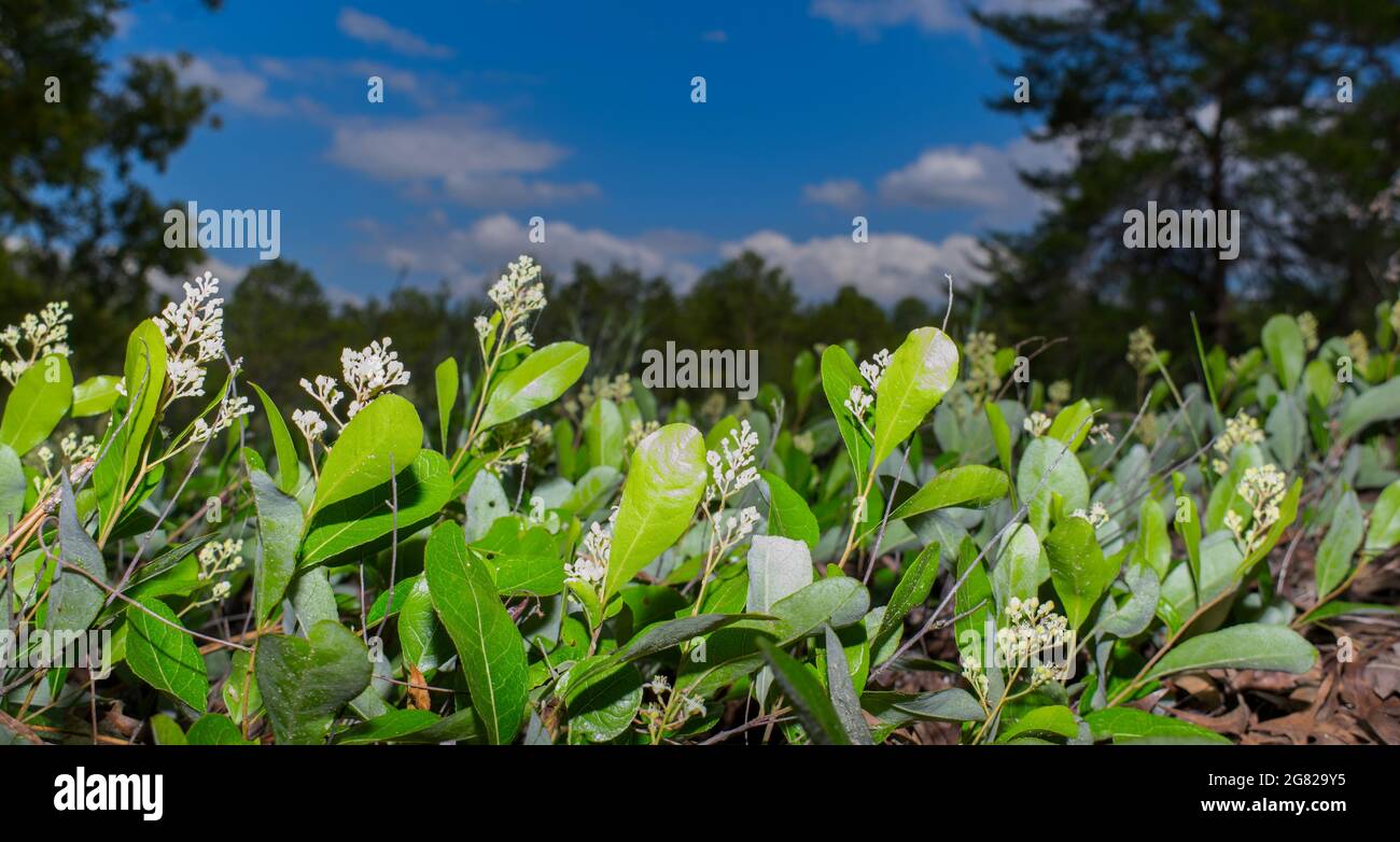 Well drained land hi-res stock photography and images - Alamy