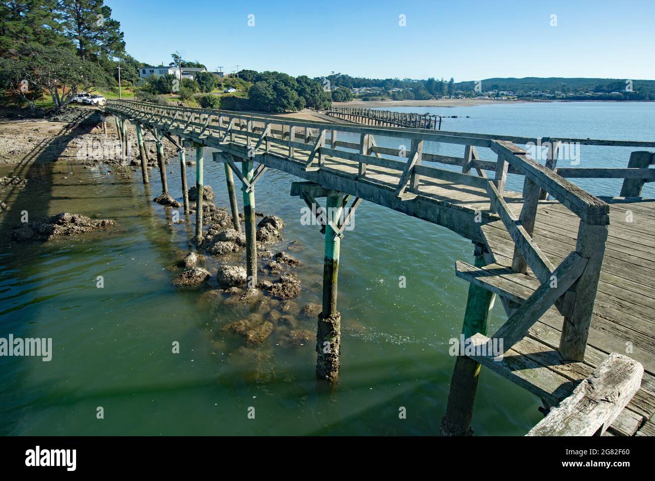 Tinopai hi-res stock photography and images - Alamy