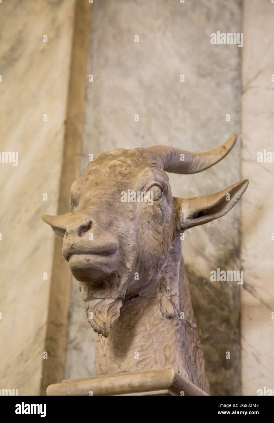 Carving of a goat's head in the Vatican museum Stock Photo - Alamy